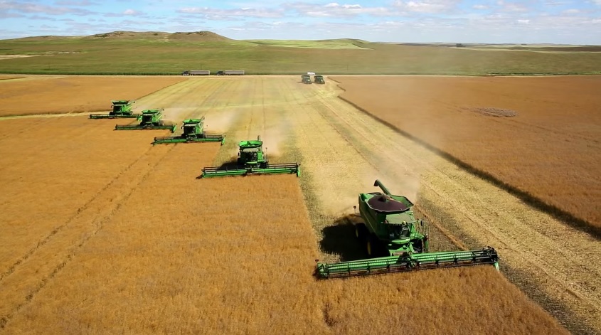 Ernte auf dem amerikanischen Kontinent und in Kanada