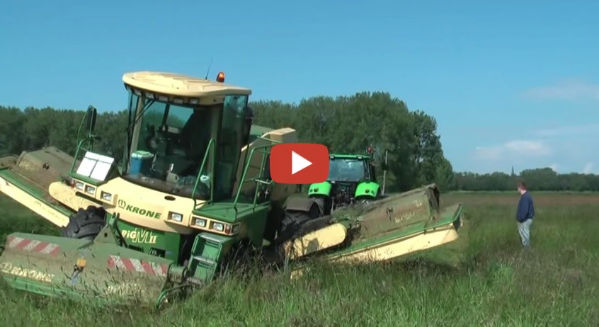 Krone Big M II festgefahren.