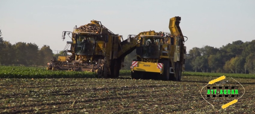 ROPA Euro Tiger V8 XL | ROPA Tiger Überladewagen | Sugar beet harvest ...