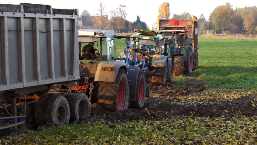 Fendt Favorit 818 Festgefahren.