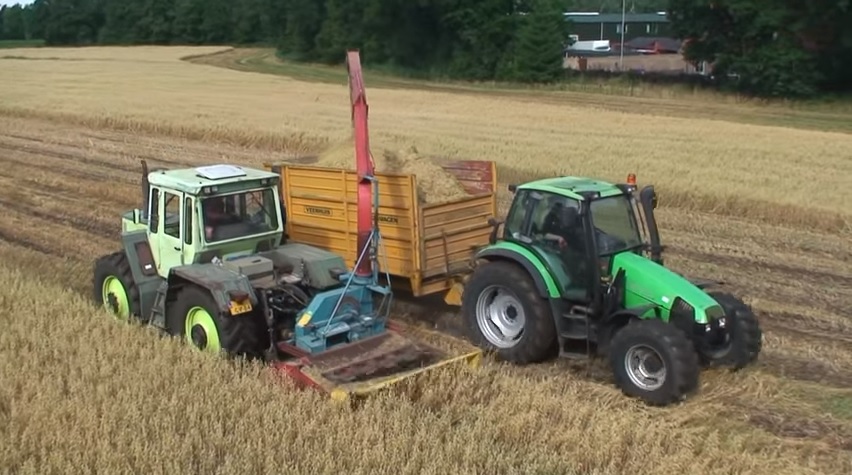 Hafer-Ernte mit Verband "Das Lächeln"