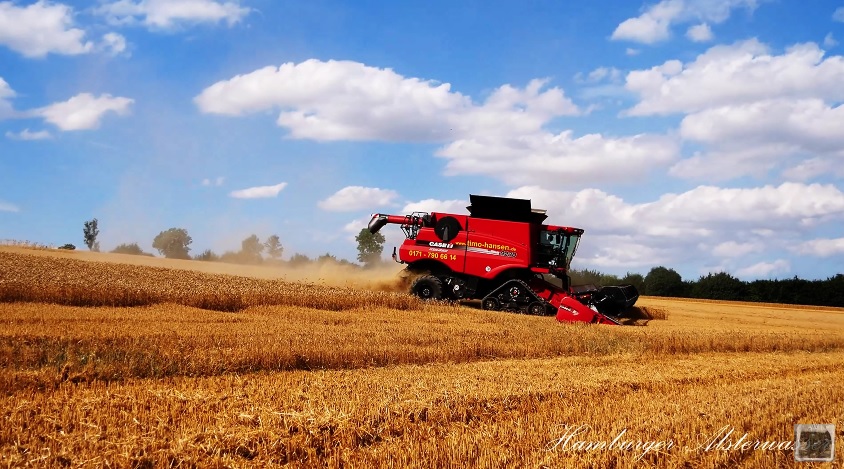 2 BIG Case IH 9280 8240 TT in Nord Deutschland bei der Ernte 2016 ...