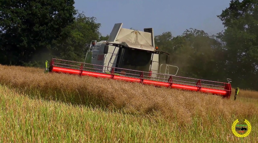 Rapsernte / Harvest 2016 mit einem Claas Lexion 580 mit Vario 900 und ...