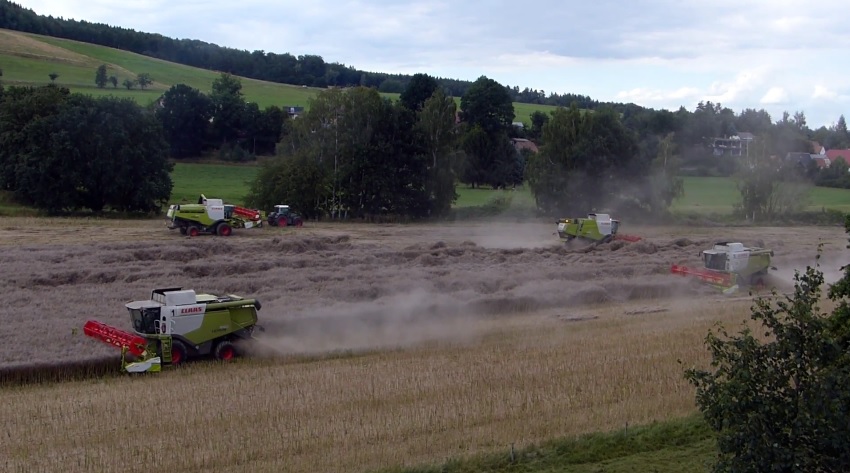 Rapsernte XXL mit 3x Claas Lexion 650, 1x Lexion 760 -- Stefan Lübke