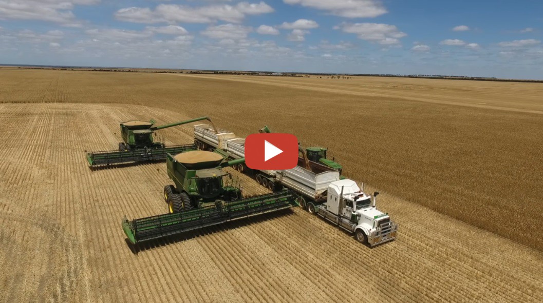 Australien. Tom's Brook Ernte XXL -- Tom's Brook Farm