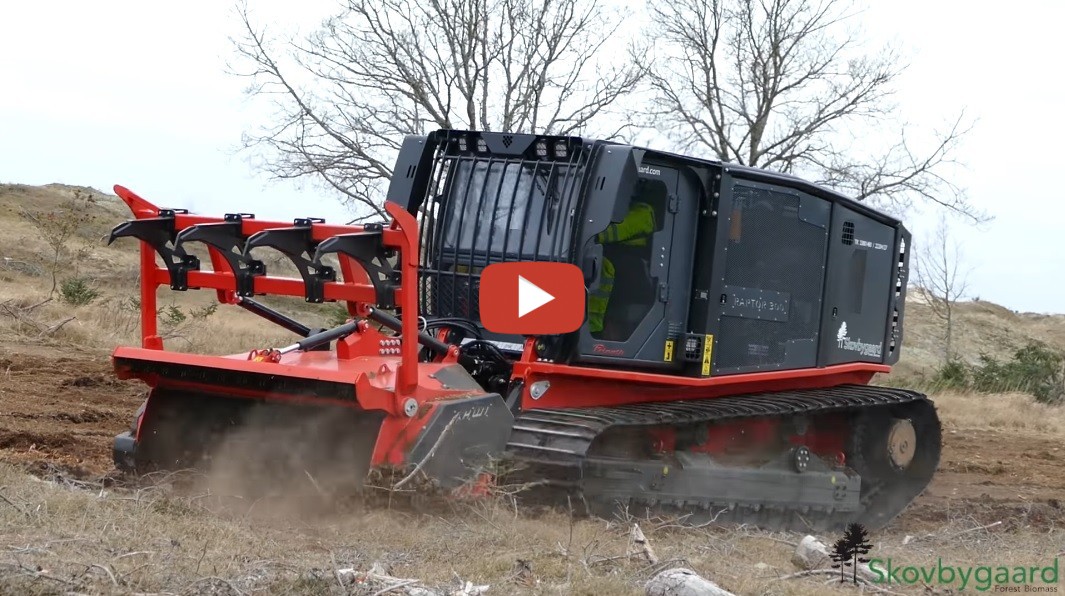 Prinoth Raptor 300 mit M650 Mulcher