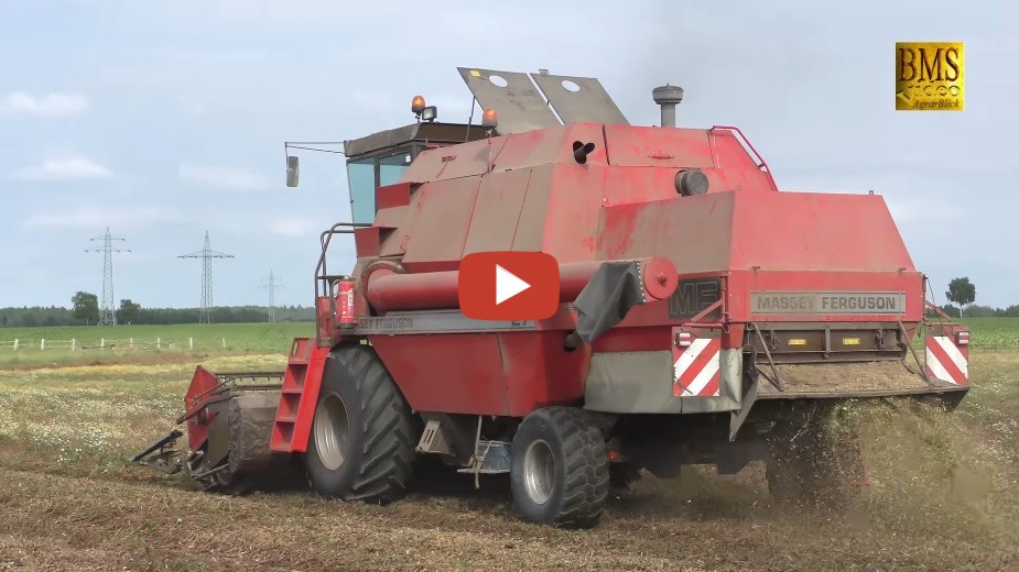 Erbsenernte 2017 - Mähdrescher Massey Ferguson MF 27- Futtererbsen ...
