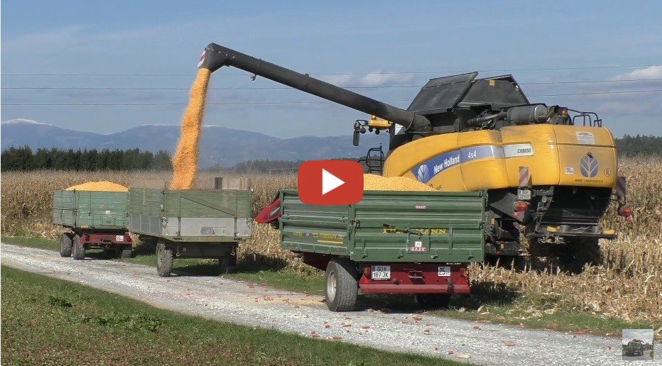 Maisernte.. New Holland CX 780 Rotor Drescher bei der Über fäll ...