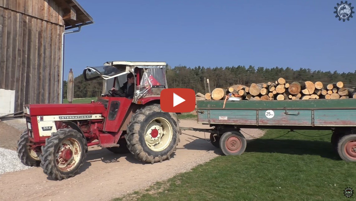 Eine Fuhre Buchenholz muss mit dem IHC 554 Allrad geholt und gespalten ...