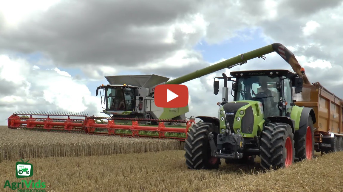 Neu Claas Lexion 8800 + Convio Flex 1380.. Weizen Ernte ...