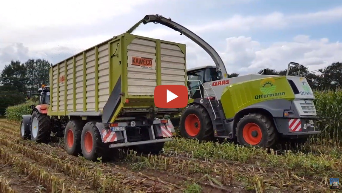Lohnunternehmen Offermann.. Die erste Mais in 2019..Claas Jaguar 940 ...