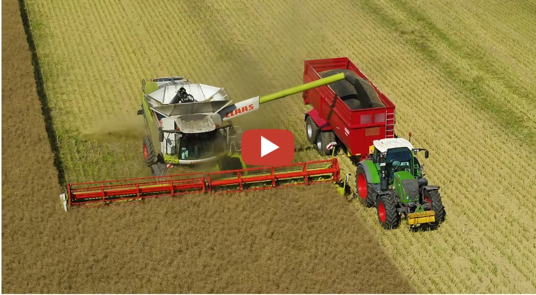 videopower1 -- Diesen Big Body 790 haben wir im nahe Rügen bei der ...