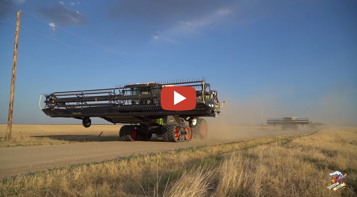 12 x Claas Lexion 7400 die zum nächsten Weizenfeld in der Nähe von ...