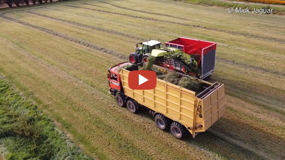 Fendt 516 & Fliegl Büffel - Probefahrt & Demo mit dem Kombi-Pick-Up ...