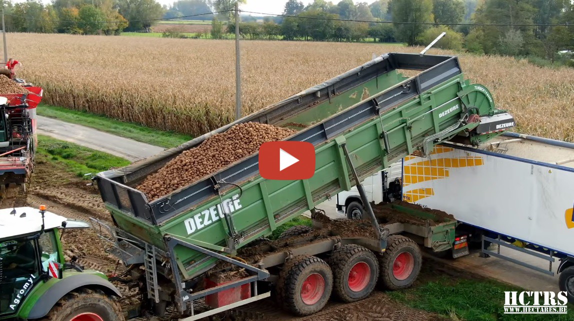 Mydibel erntet Kartoffeln mit drei Dewulf Kwatro auf einem Feld. Vor ...