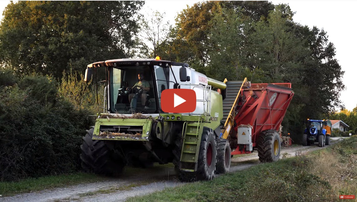 COMBINE HARVESTER Claas Lexion 650 with corn loaf trailer in FRANCE ...