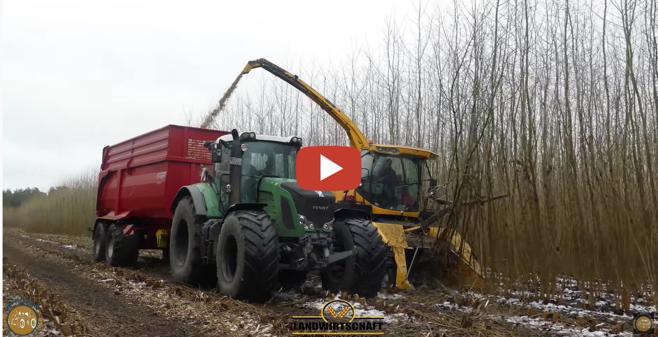 Pappel - Kurzumtriebsplantage Energie Holzernte - Häckseln mit einem ...