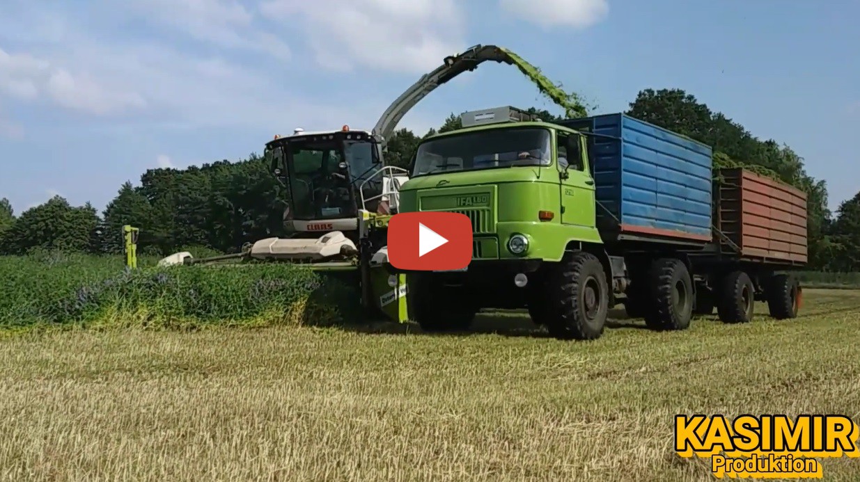 FA L60 mit einem HW 80 in der GPS-Bergung -Die Mischung aus Roggen und ...