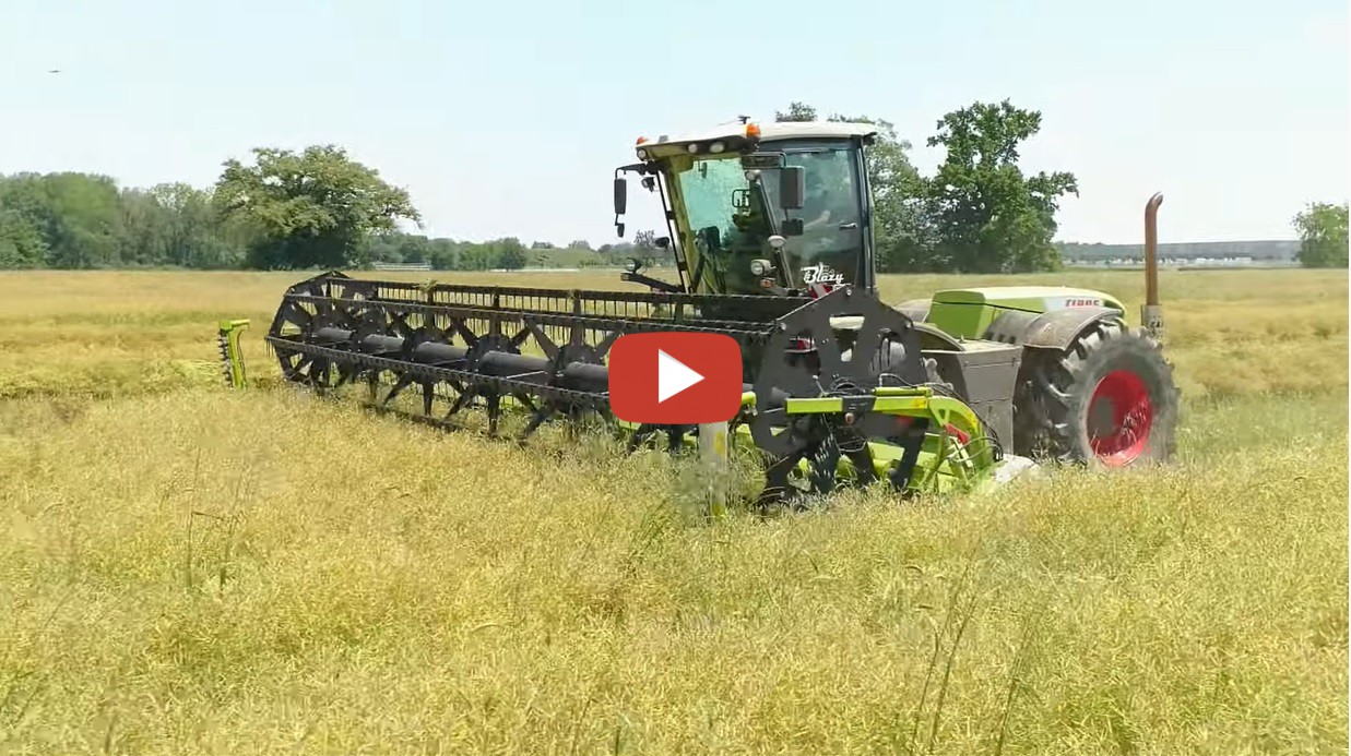 CLAAS XERION 3800 mit MAXFLO 900 zum Rapsmähen -- Chambon Vincent