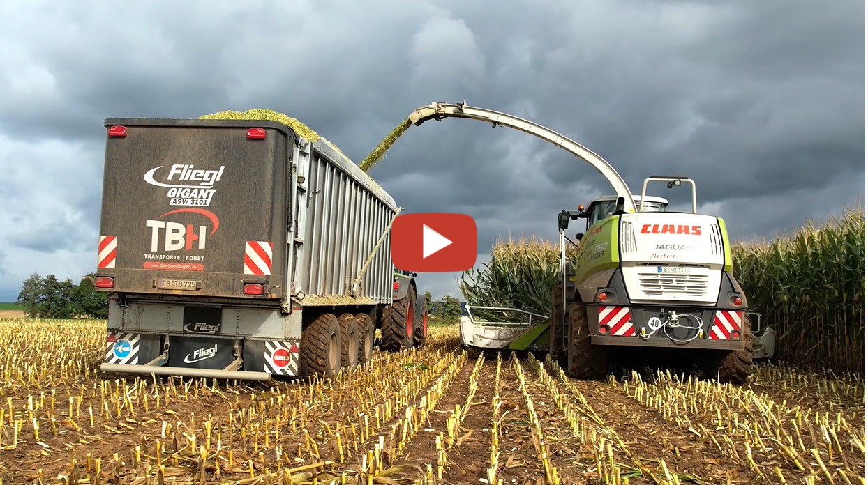 *Maisernte 2021 mit Tim Bernhart - Land- und forstwirtschaftliche ...