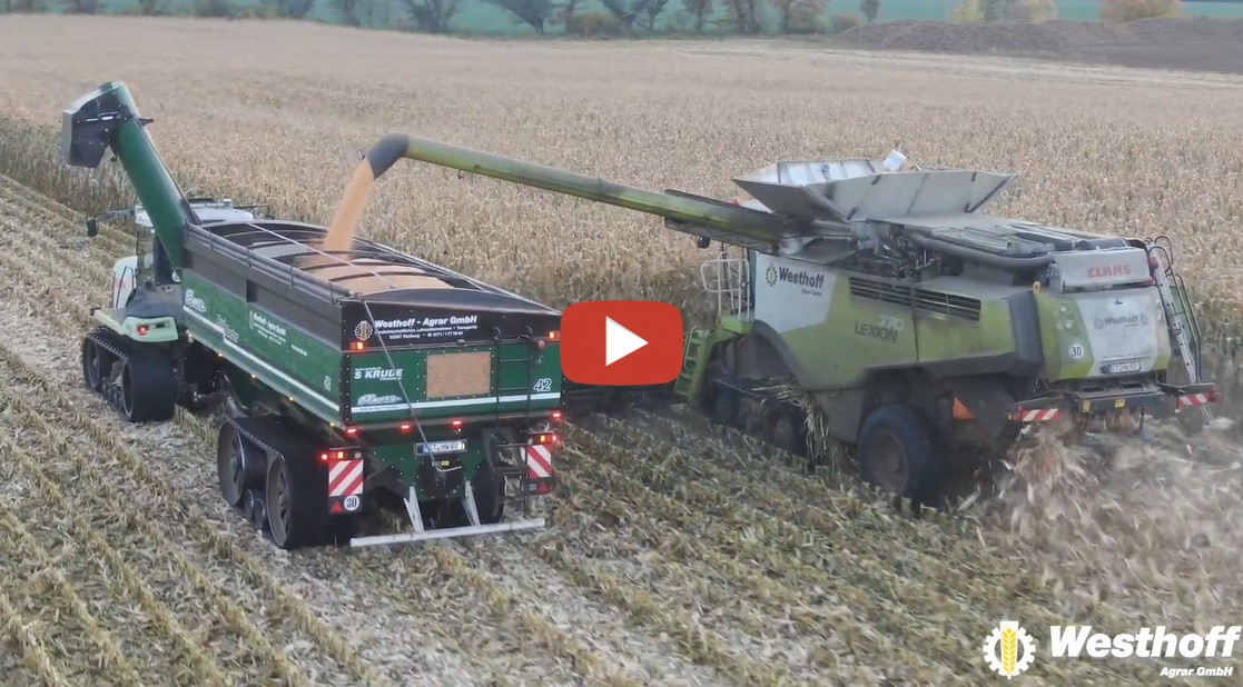 Mais dreschen 2021 mit einem Claas Lexion 770 C66 & Claas Challenger ...