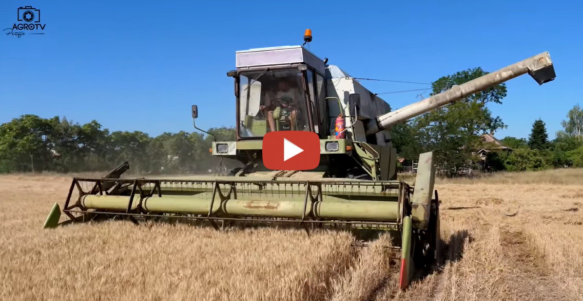 Weizenernte 2022 mit Fortschritt E517 und E516. Transport mit Belarus und Zetor Traktoren ...