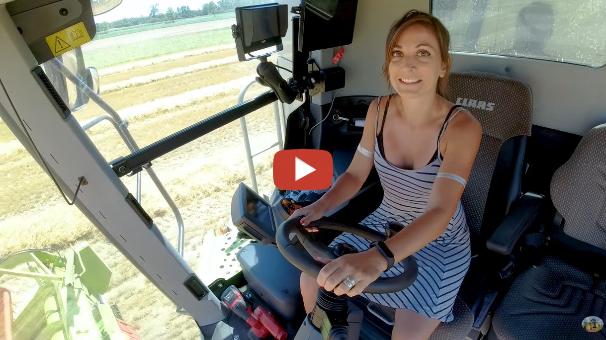 Bauerntochter Angela Steiner erntet die Braugerste mit dem Claas Lexion ...