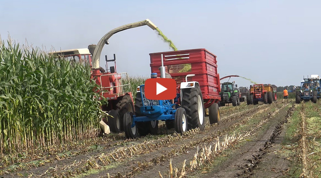 Oldtimerhäckseln 2022 in Giethoorn mit einem Hesston 7650 und vielen ...