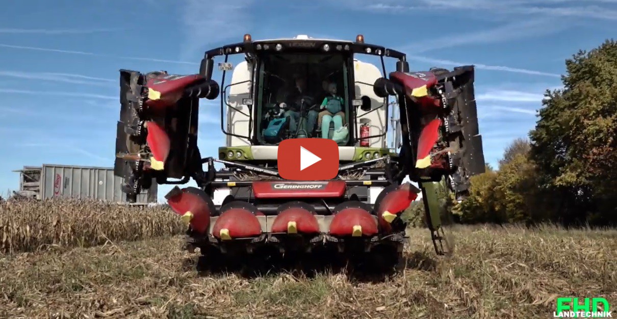 Körnermais Ernte 2022 Mais dreschen mit einem Claas Lexion 760 TT und 8 ...