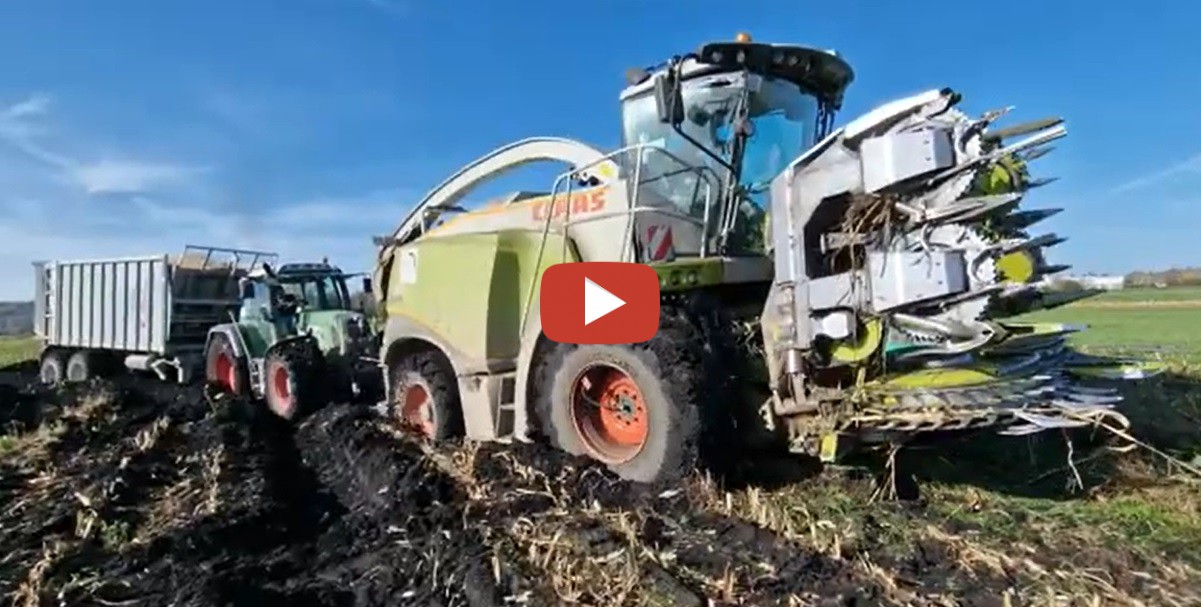 Maisernte 2022 -- Fendt versinkt im MOOR! Jaguar 950 zieht alle raus ...