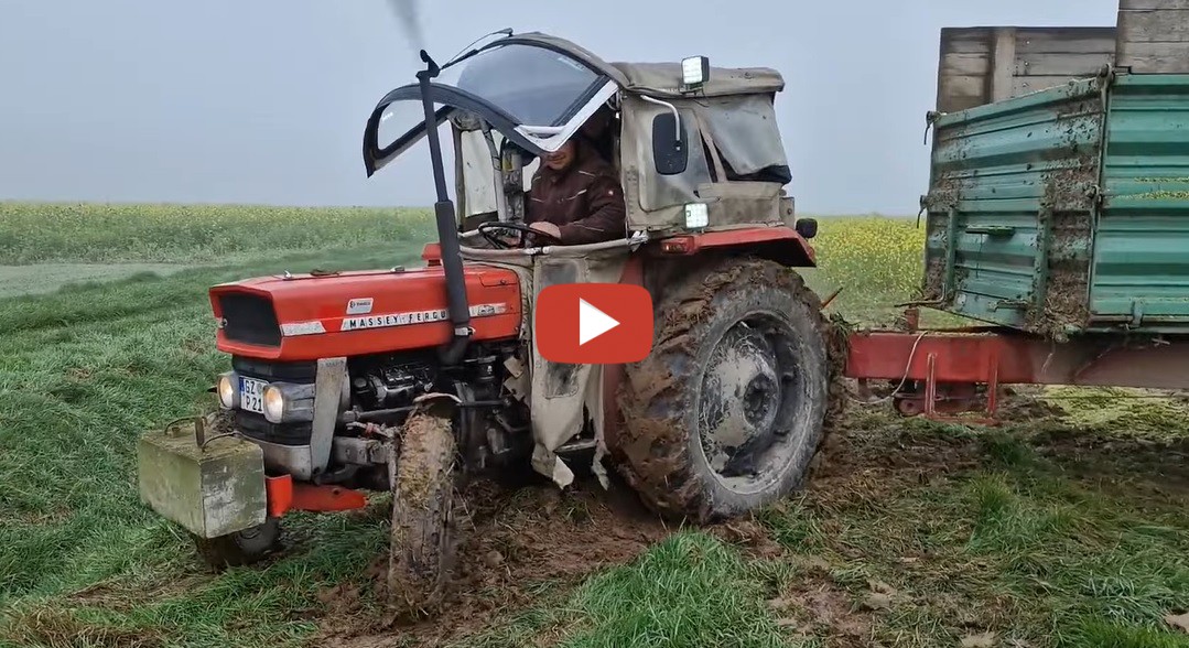 Schlammig --Oldtimereinsatz bei historischer Maisernte 2022 - Mengele SF 6000 & Mengele SF 6500 ...