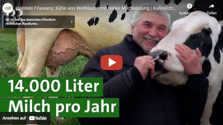 *Unser Land -- Holstein Friesians: Kühe von Weltklasse mit hoher ...
