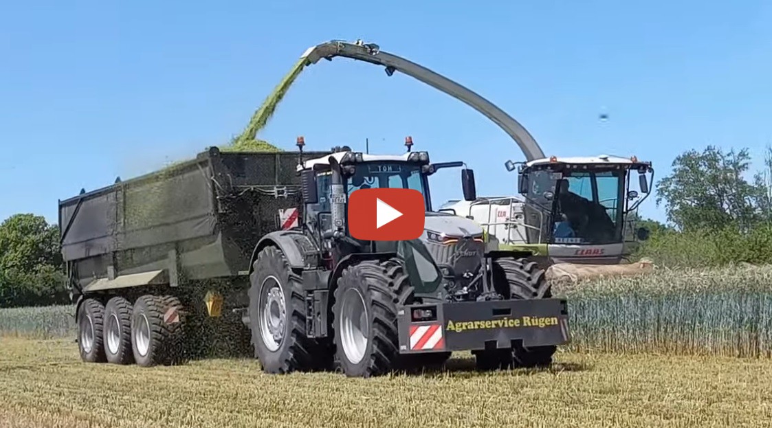 Roggen GPS häckseln 2023 - Agrarcervice Rügen mit einem Claas Jaguar ...