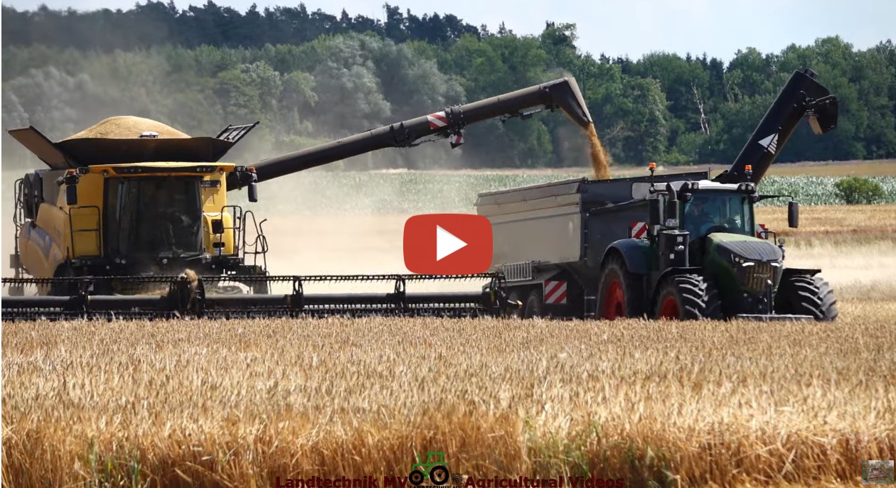 Getreideernte 2023 mit einem New Holland CR 10.90 mit MacDon ...