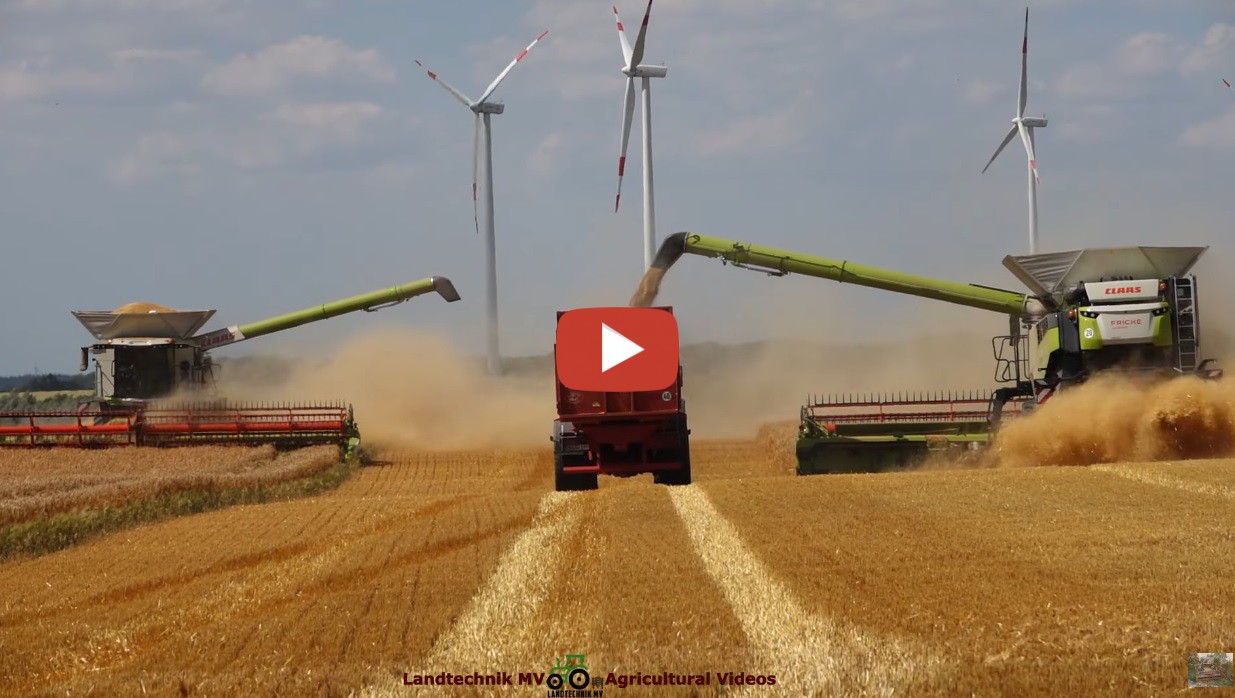 Getreideernte 2023 mit zwei neuen Claas Lexion 8800, jeweils mit einem ...