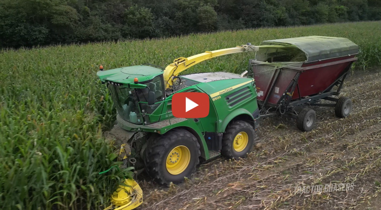 Maisernte 2023 -- John Deere 8500 Feldhäcksler bei der Arbeit ...