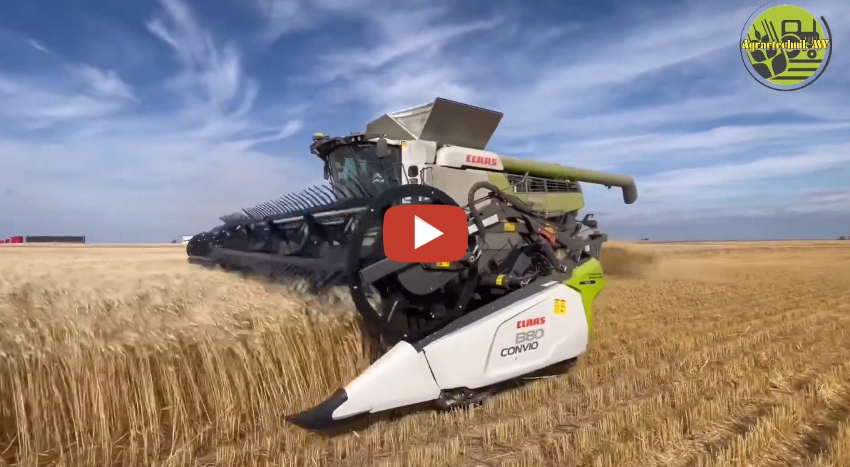 Frauen Power -- Zusehen ist hier die Getreideernte in Kanada. Im ...