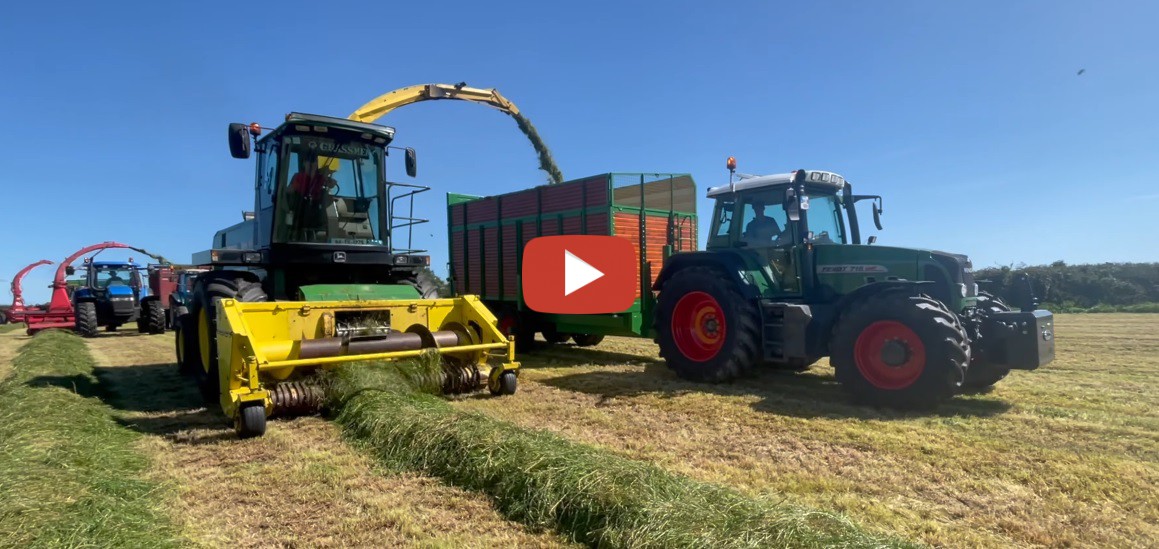 Vintage-Grashäckseln 2023 in England mit sehr schönen Traktoren und ...