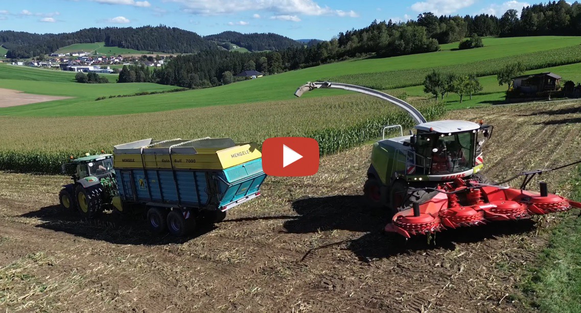 Gumpenberger Agrar-- Mais Häckseln 2023 Claas Jaguar 950 Landewagen ...