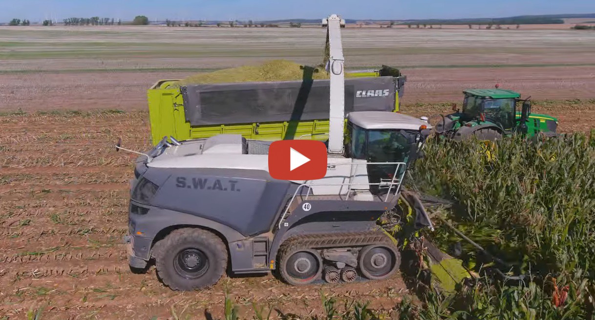 Kamasu666 Agri Videos -- Mais 2023 -- S.W.A.T-Team . Als erstes sehen ...