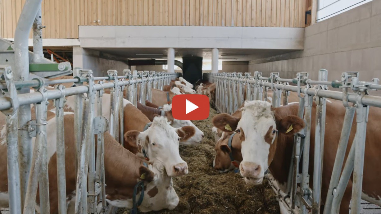 Futterband (platzsparend) anstatt Futtertisch -| Betrieb Eibl ...