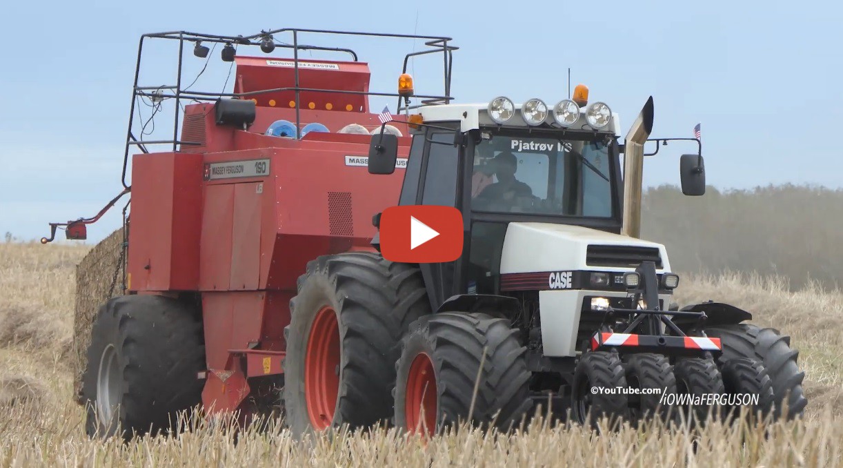 Case 2294 - Full Video Ballenpressen Grassilage und Maisernte -- iOWNaFERGUSON